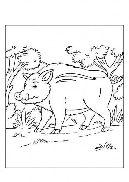 Boar coloring pages