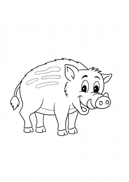 Boar coloring pages
