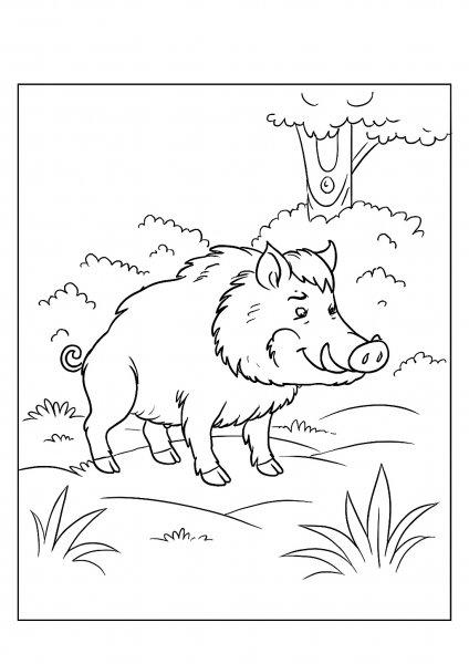 Boar coloring pages