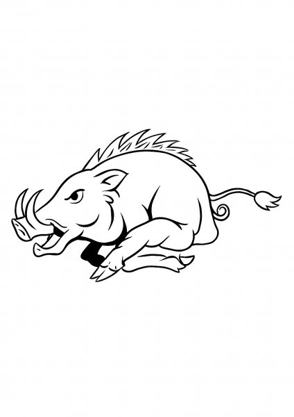 Boar coloring pages