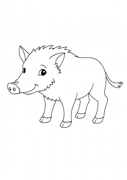 Boar coloring pages