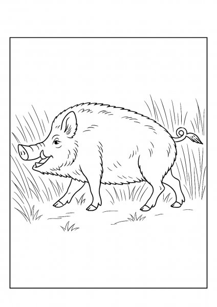 Boar coloring pages
