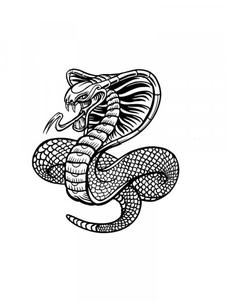 Cobra coloring pages