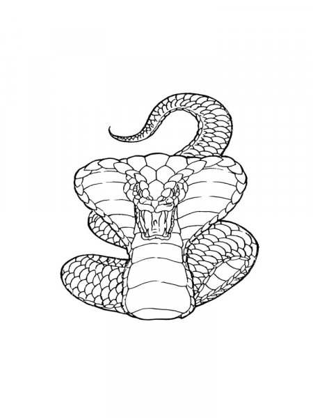 Cobra coloring pages