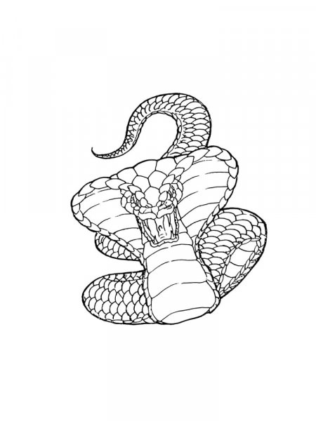 Cobra coloring pages