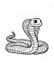 Cobra coloring pages