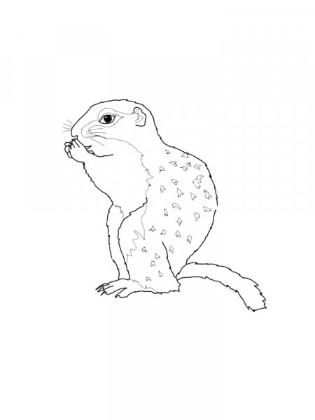 Gopher coloring pages