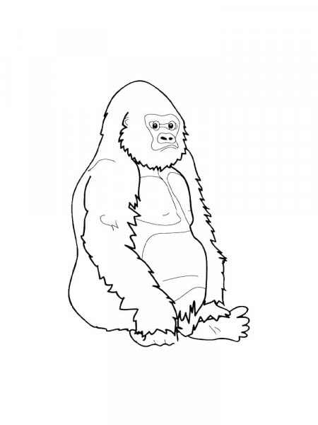 Gorilla Coloring Pages (Free Printables for Kids)