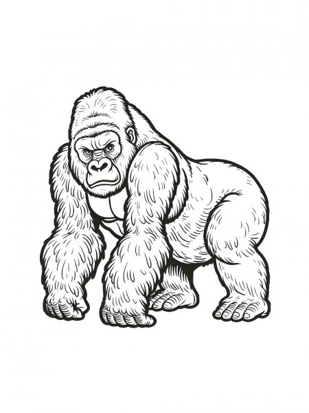 Gorilla Coloring Pages (Free Printables for Kids)