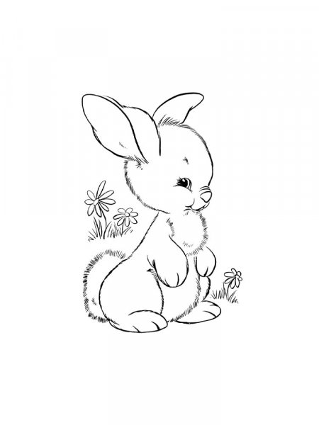 Hare coloring pages