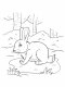 Hare coloring pages
