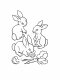 Hare coloring pages