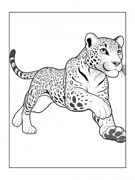 Jaguar coloring pages