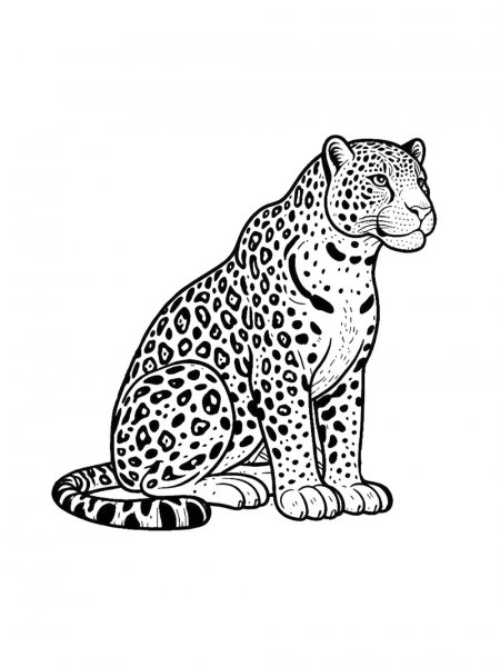 Jaguar coloring pages