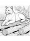 Panther coloring pages