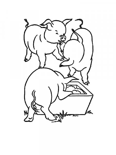 Pig coloring pages