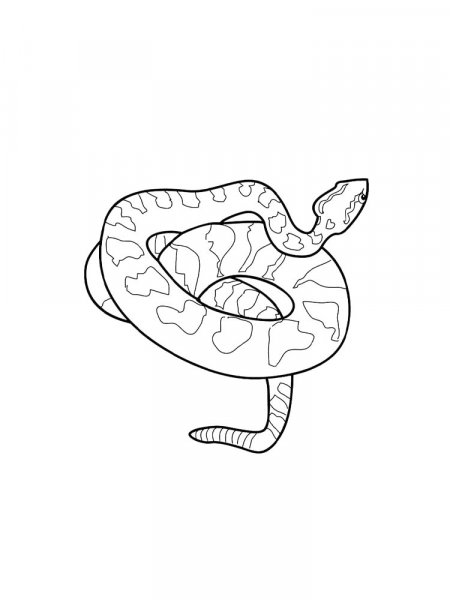 Python coloring pages