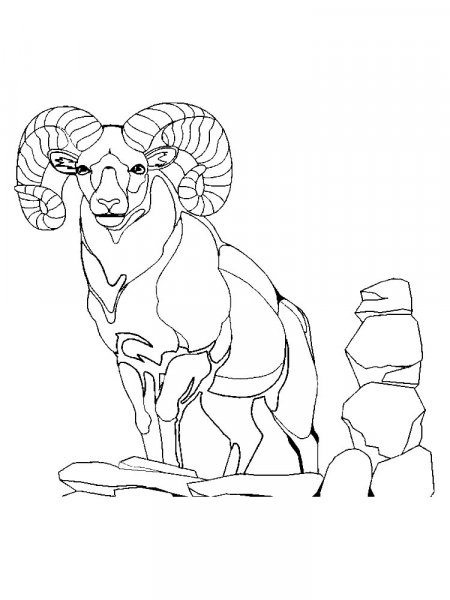 Ram coloring pages