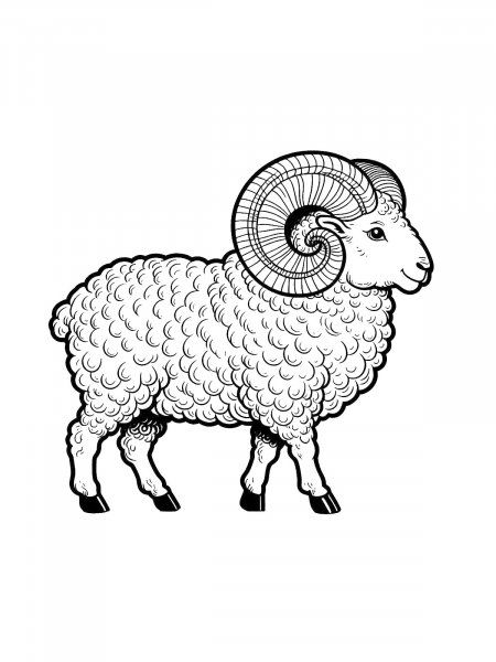 Ram coloring pages