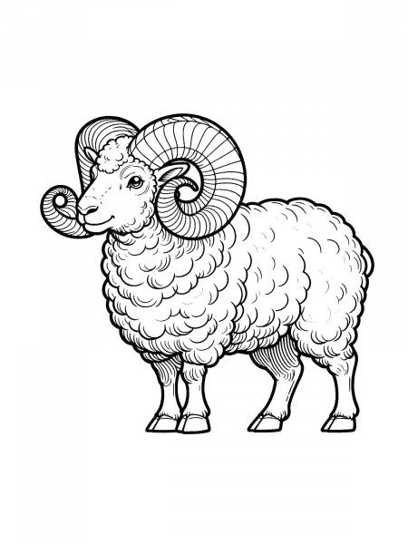 Ram coloring pages