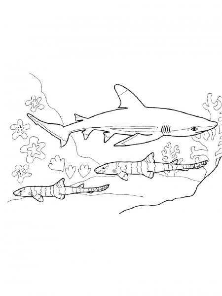 Sharks coloring pages. Download and print sharks coloring pages