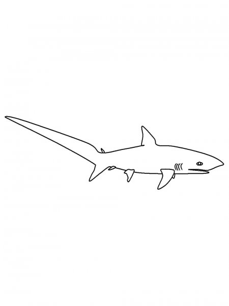 Sharks coloring pages. Download and print sharks coloring pages