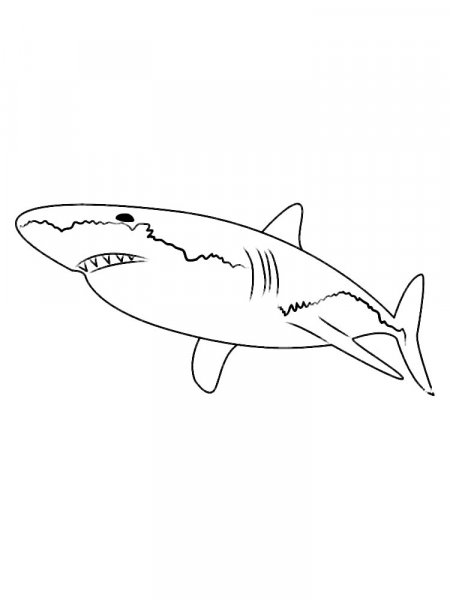 Sharks coloring pages. Download and print sharks coloring pages