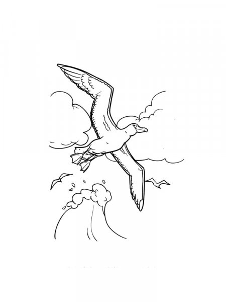 Albatross coloring pages. Download and print Albatross coloring pages
