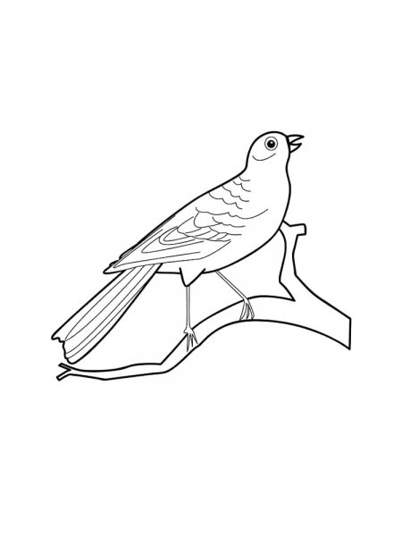 Canary coloring pages