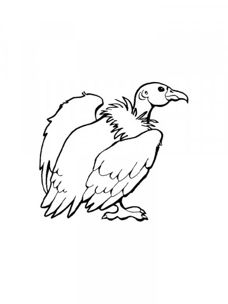 Condor coloring pages