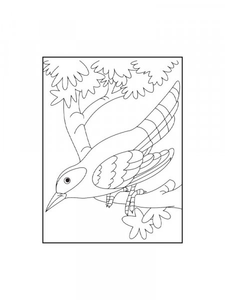 Cuckoo coloring pages