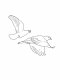 Dove coloring pages. Download and print Dove coloring pages