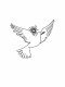 Dove coloring pages. Download and print Dove coloring pages