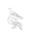 Dove coloring pages