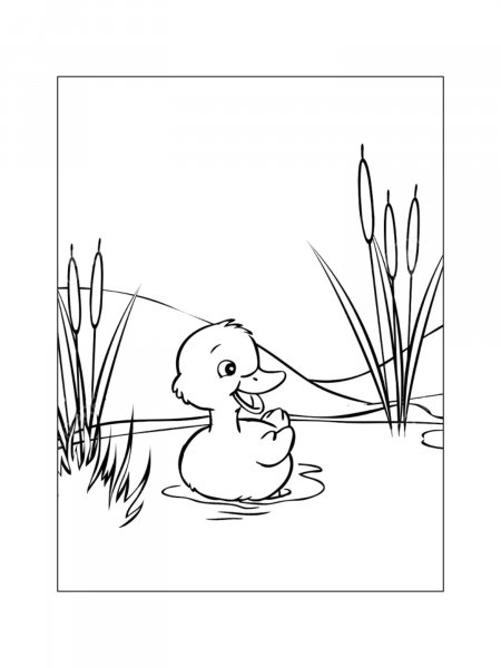 Duckling coloring pages