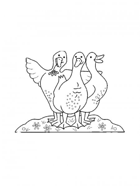Goose coloring pages
