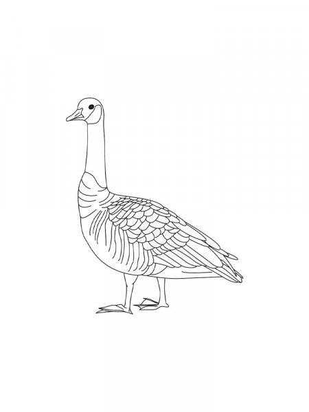 Goose coloring pages