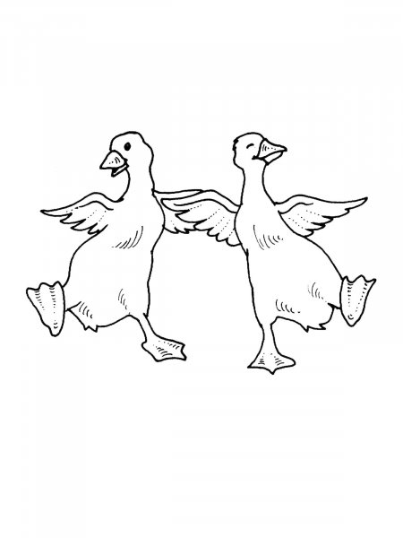Goose coloring pages