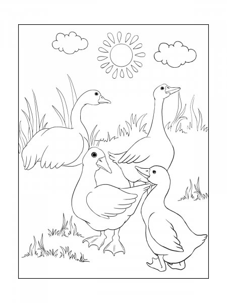 Goose coloring pages