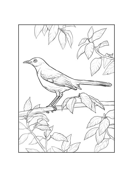 Mockingbird coloring pages - Free Printable