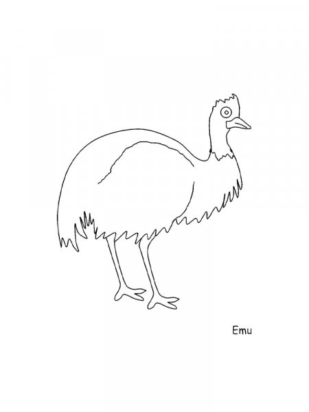 Ostrich coloring pages