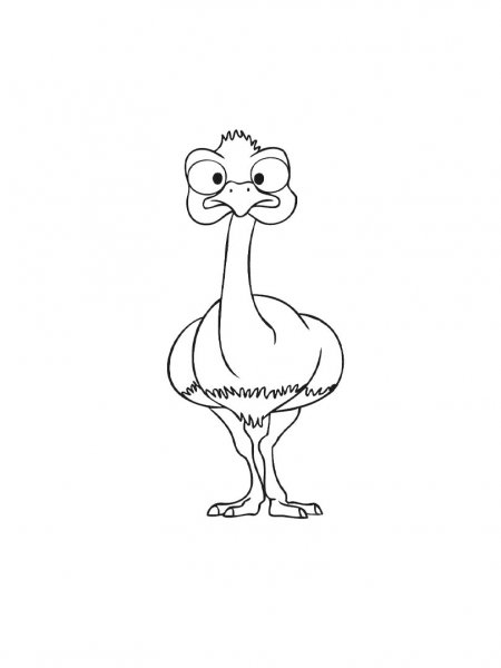 Ostrich coloring pages