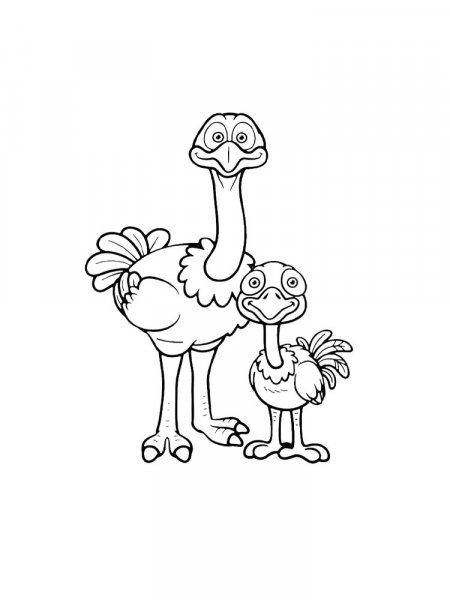 Ostrich coloring pages