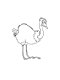 Ostrich coloring pages