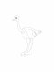 Ostrich coloring pages