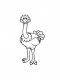 Ostrich coloring pages