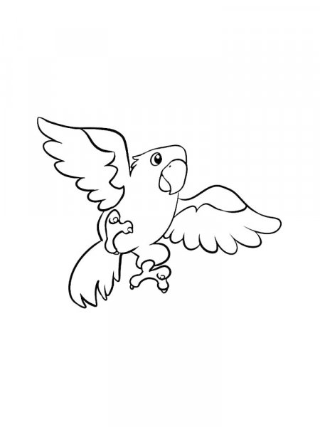 Parakeet coloring pages - Free Printable