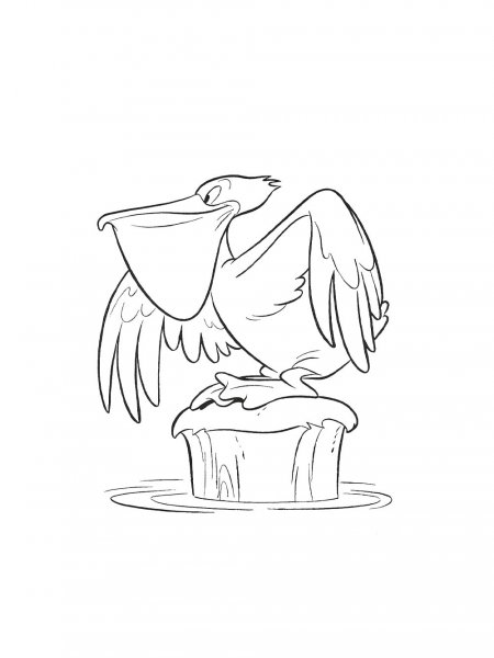 Pelican coloring pages