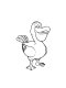 Pelican coloring pages