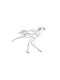 Secretary Bird coloring pages - Free Printable